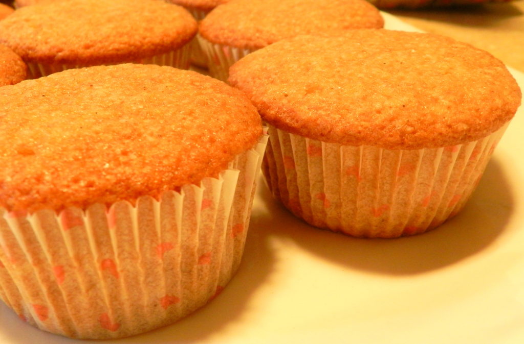 FMF: Muffin Plan B - Julie Sanders